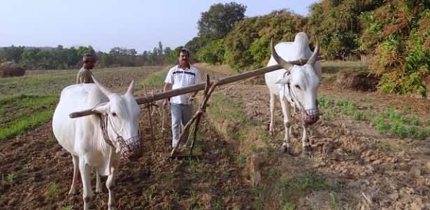 PROPONEN TÉCNICA DE “LABRANZA CERO” PARA HACER SUSTENTABLE AL CAMPO | kuali